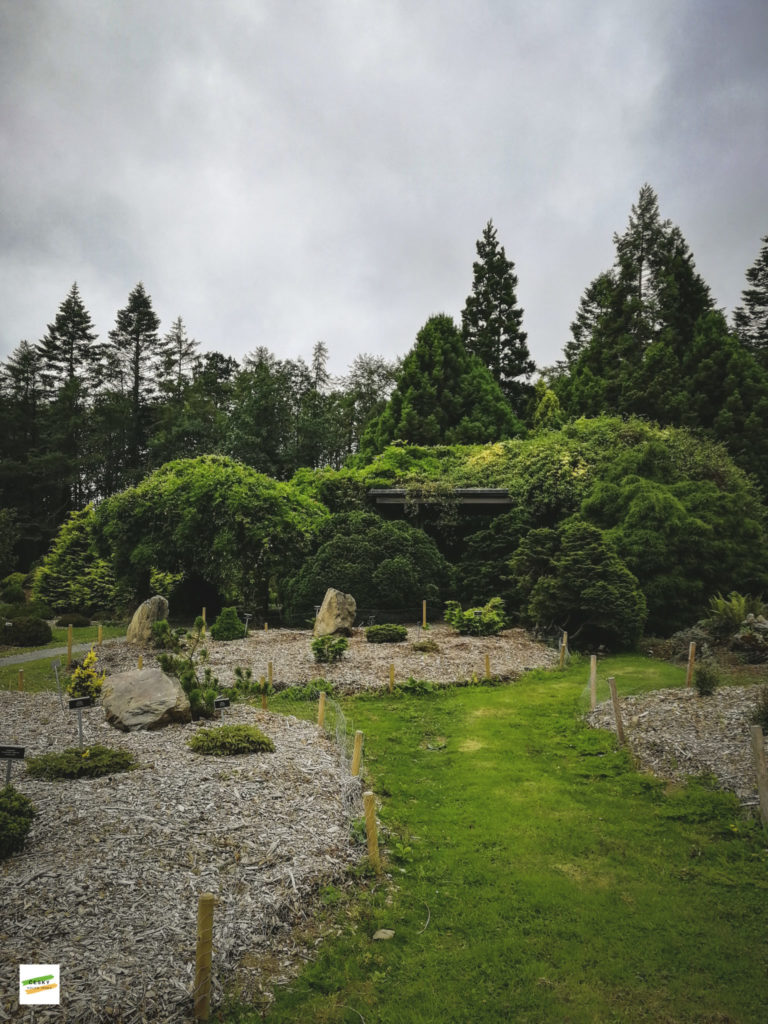 Irish hidden gems: John F. Kennedy Arboretum - Česky kolem Irska